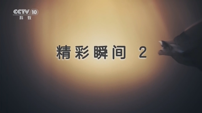 《自然传奇》 20260605 精彩瞬间 2