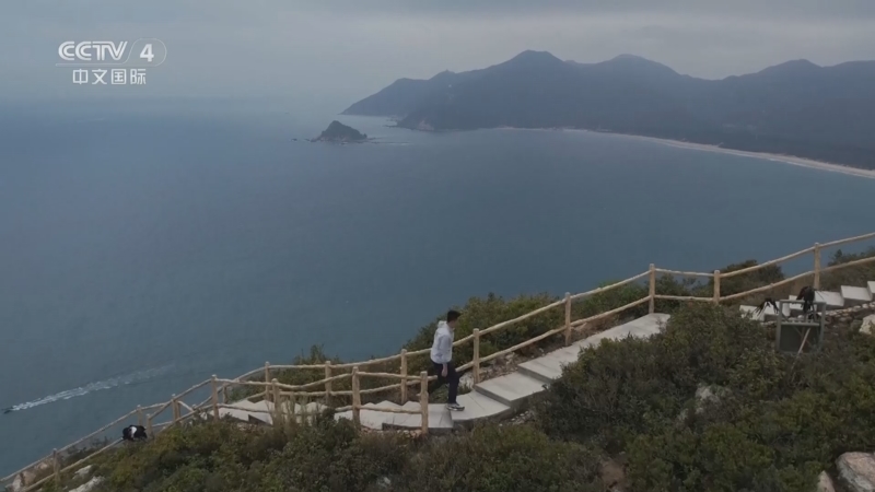 《远方的家》 20260610 山河锦绣看中国 山海连城 魅力深圳