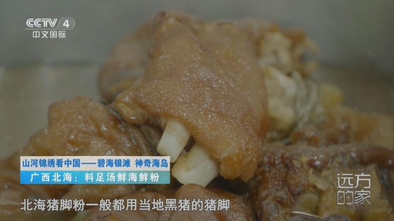 《远方的家》 20260701 山河锦绣看中国 碧海银滩 神奇海岛