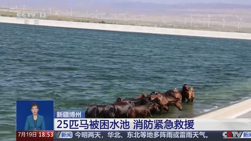 《共同关注》 20260719