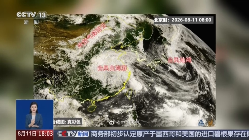 《共同关注》 20260811
