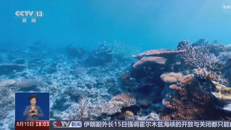 《共同关注》 20260815