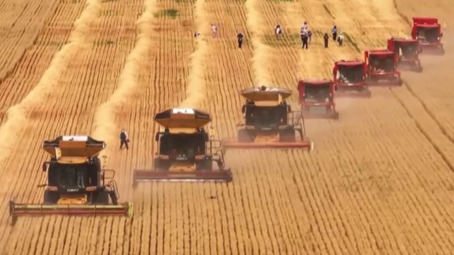 CCTV-13新闻频道节目官网_CCTV节目官网_央视网