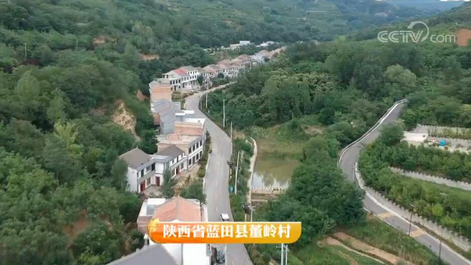 《印象·乡村》 20190806 羊肠小道变了模样