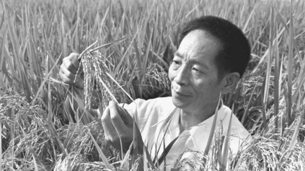 UN praises 'Father of Hybrid Rice' Yuan Longping as true food hero_英语频道 ...